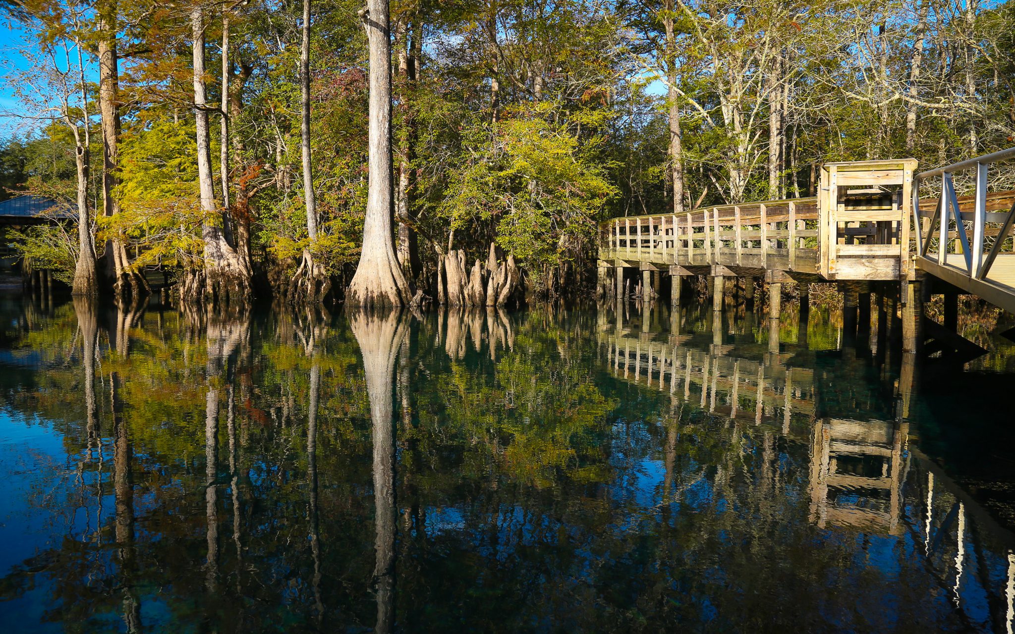 Morrison Springs Park - Florida RV Trade AssociationFlorida RV Trade ...