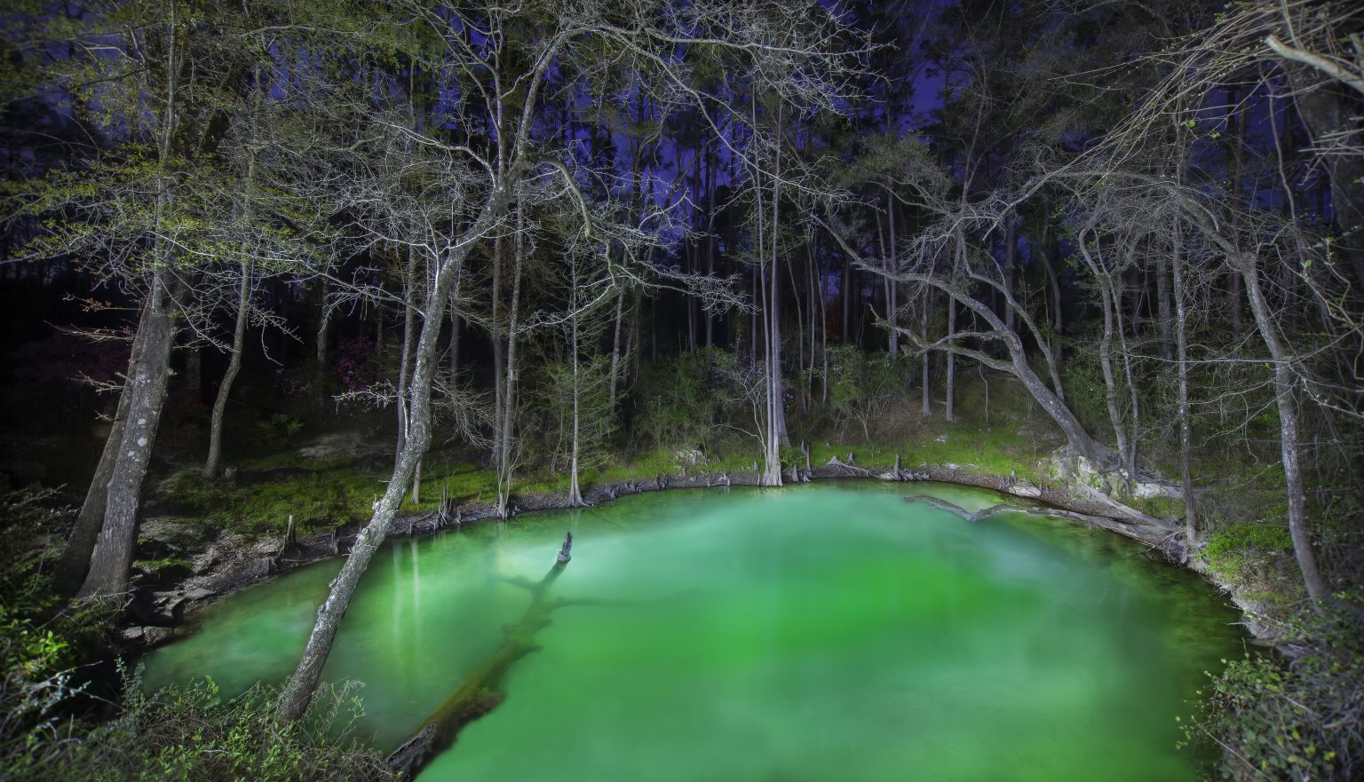 Leon Sinks Geological Area - Florida RV Trade AssociationFlorida RV ...