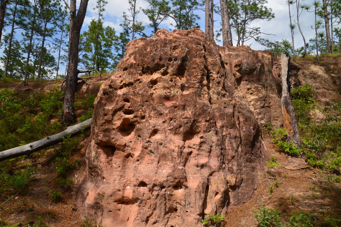 Florida Day Hikes - Florida RV Trade AssociationFlorida RV Trade ...