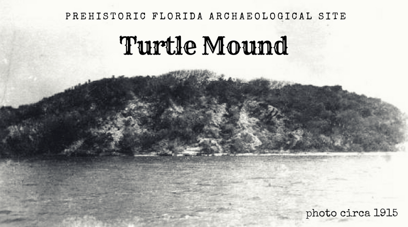 Florida Prehistoric Archaelogical Site Turtle MoundFlorida RV Trade ...